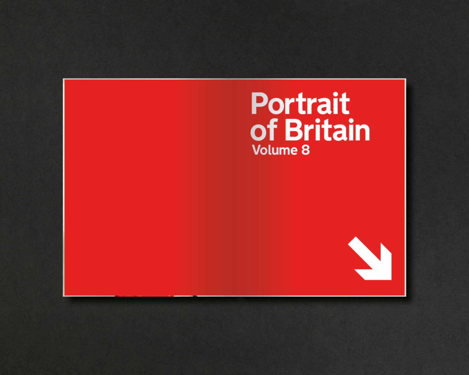 Portrait of Britain — Volume 8 – Bluecoat Press