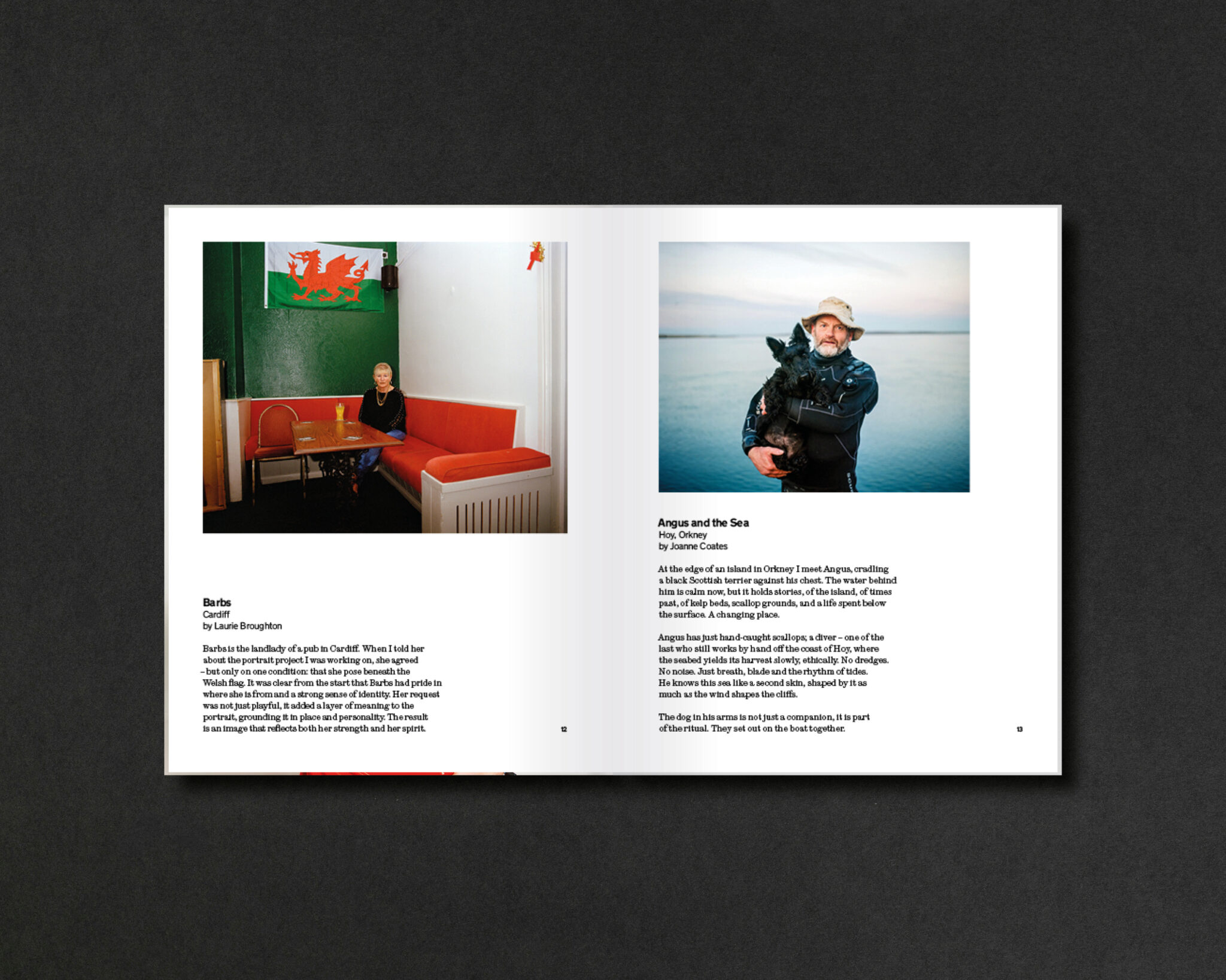 Portrait of Britain — Volume 8 – Bluecoat Press
